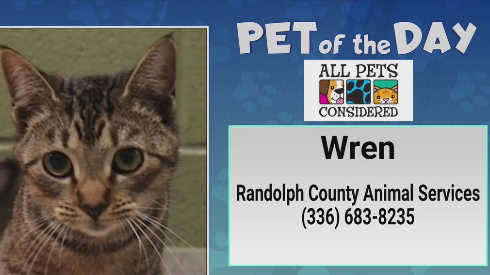 Pet of the Day: You can’t go wrong with Wren – FOX8 WGHP