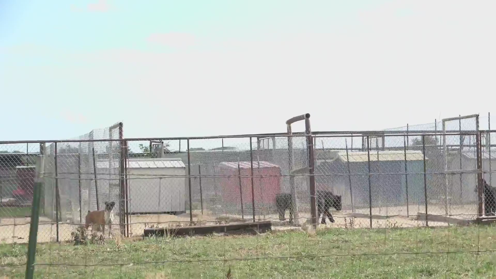 Several southwest Missouri kennels make ‘horrible hundred’ list – KSNF ...