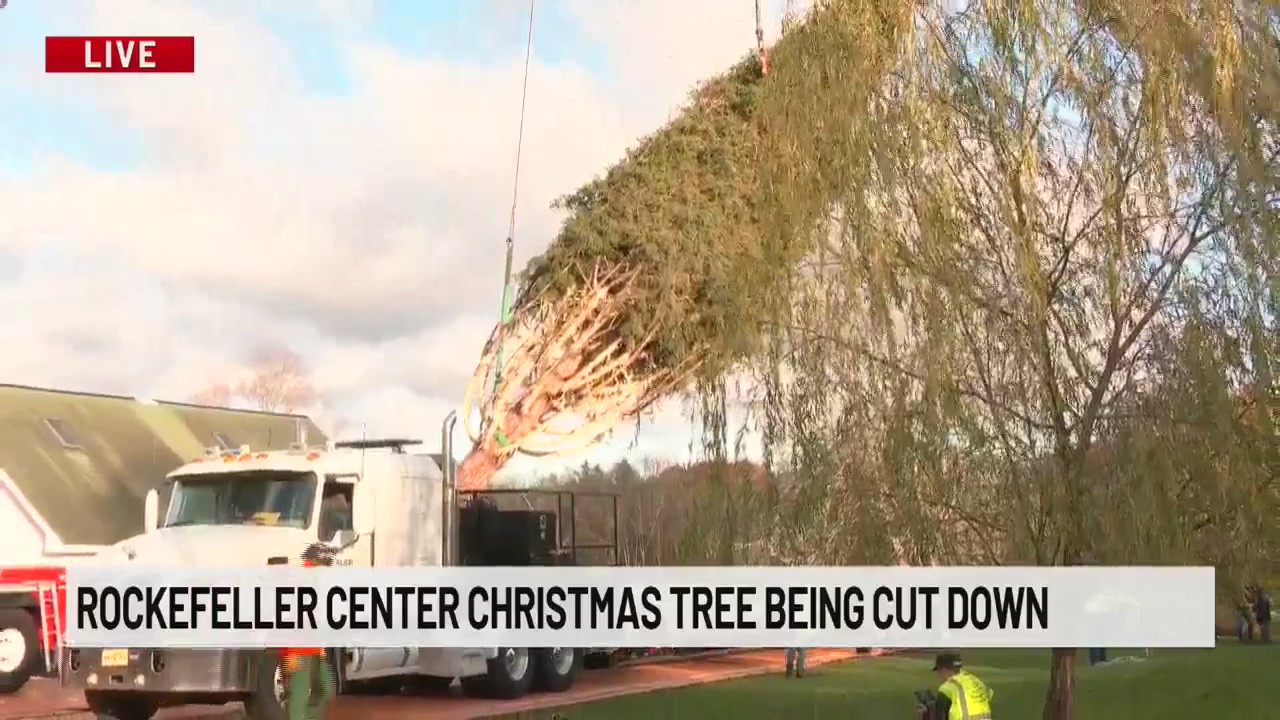 Watch this year’s Rockefeller Center Christmas Tree be cut down ...