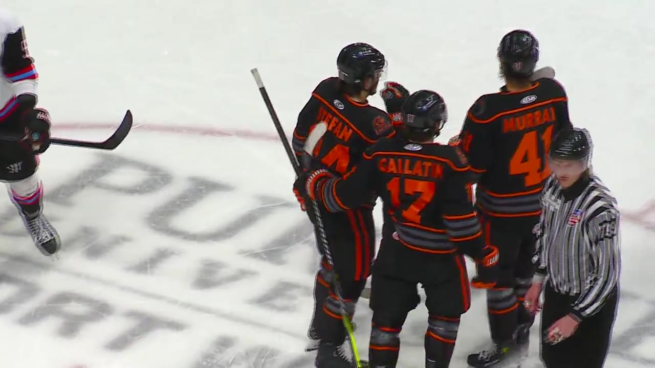 Komets coral Bison to win third straight game – WANE 15