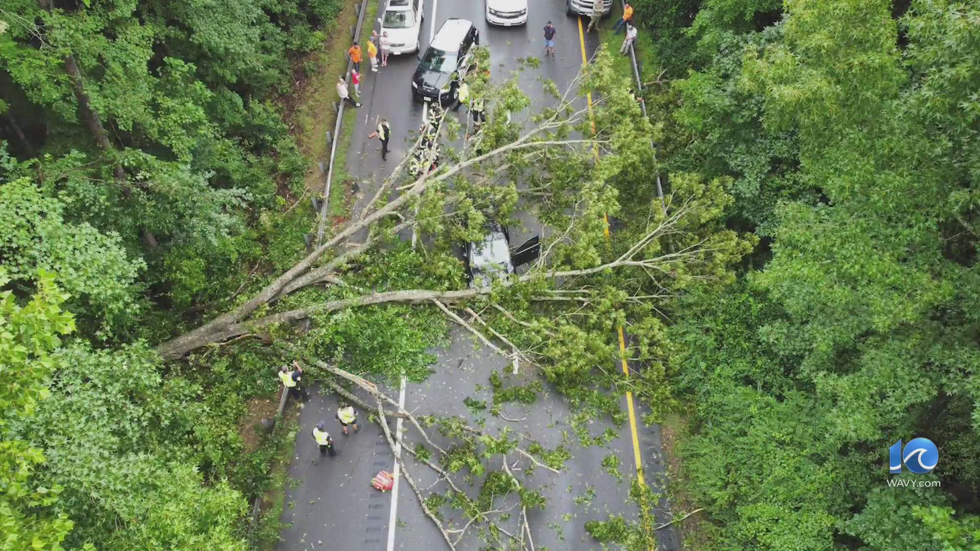 Only On 10: Woman shares story of tree falling on car – WAVY.com