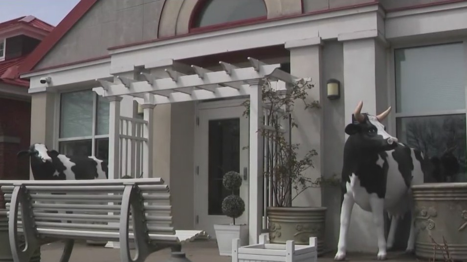 Experiencing the arts at the Clifton Arts Center – PIX11