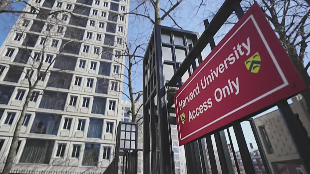 Is Harvard justified in suing the Trump administration? | The Hill ...
