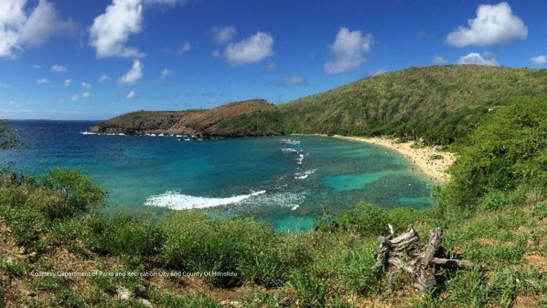 PHOTOS: Hanauma Bay closes for revamp – KHON2