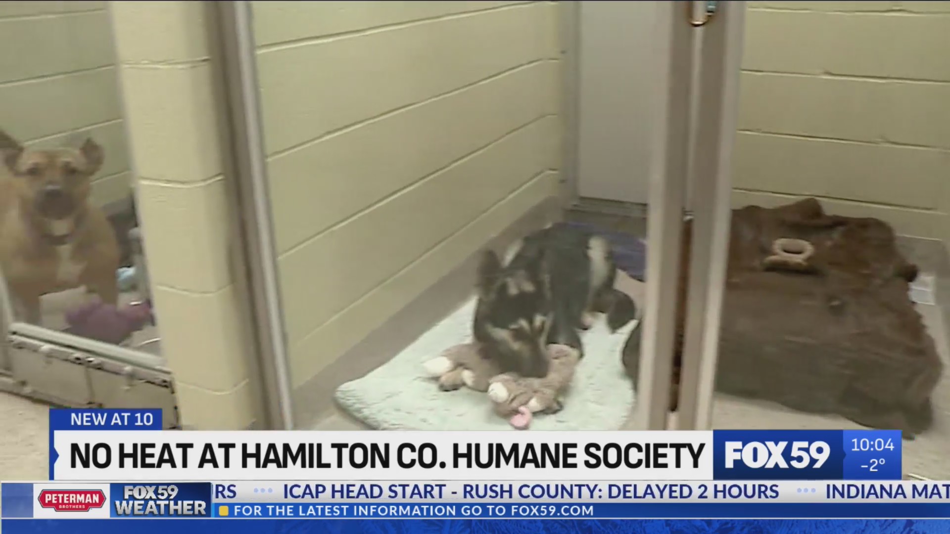 Heat no longer working in 2 Hamilton County Humane Society kennels – Fox 59