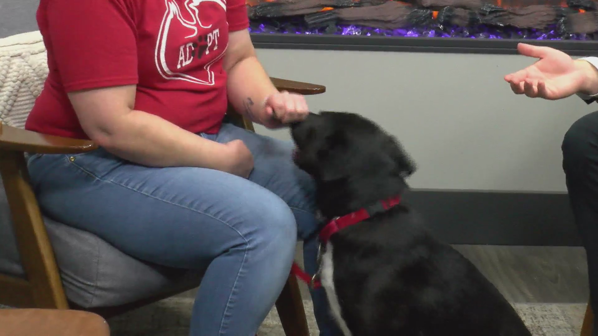 Pet on the Set: Maggie – WCIA.com