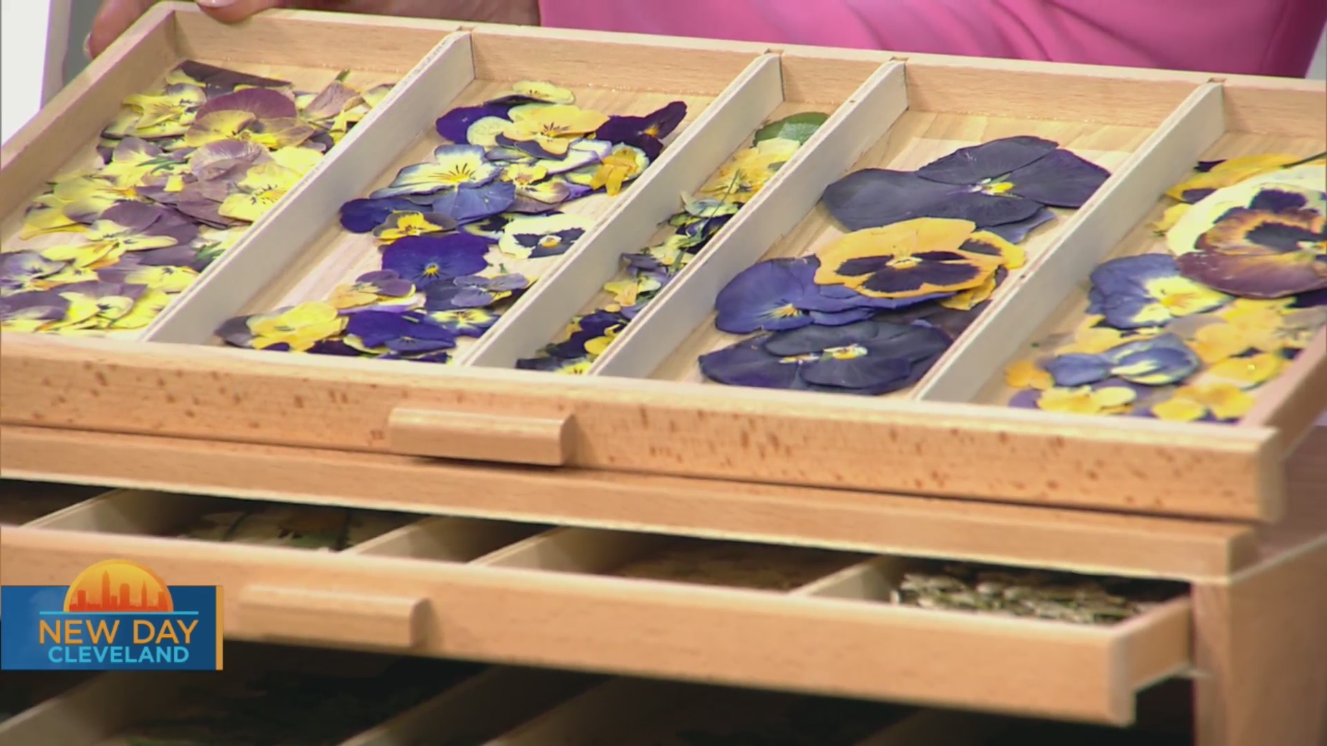 New Day Cleveland: Walker Root Design – Fox 8 Cleveland WJW