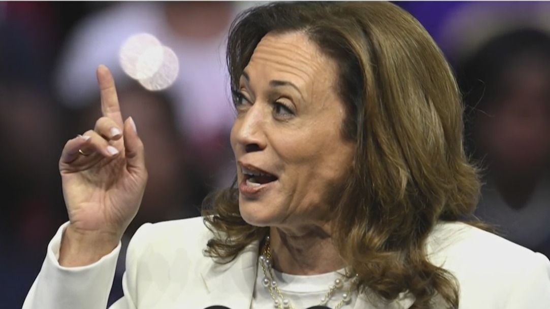 Harris’ volunteer advantage may guarantee more votes in her favor: Bob ...