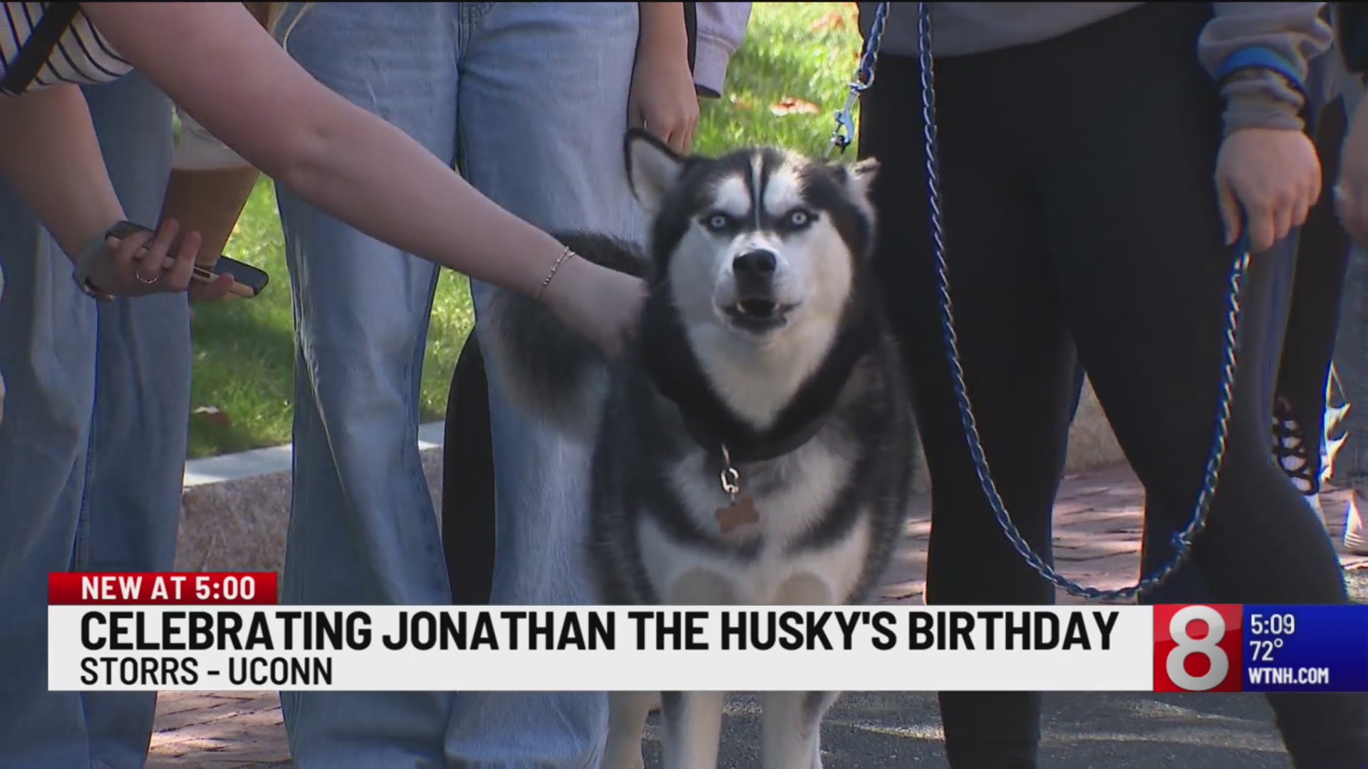 UConn mascot Jonathan the husky celebrates 12th birthday – WTNH.com