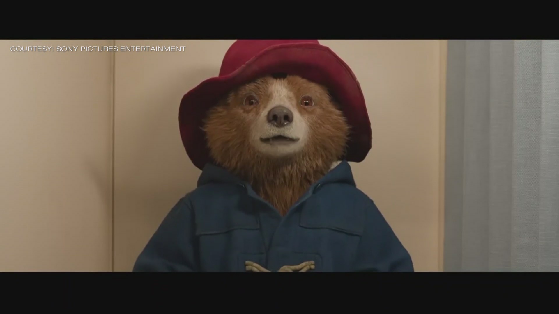 Movie News with the Louz: Captain America: Brave New World, Paddington ...