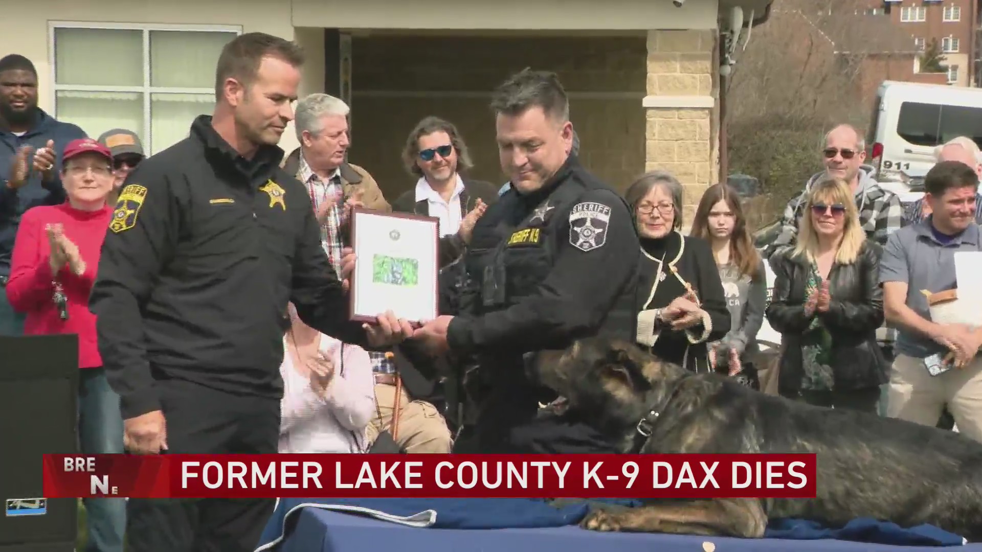 Decorated Lake County Sheriff’s K9 Dax dies days after retirement ...
