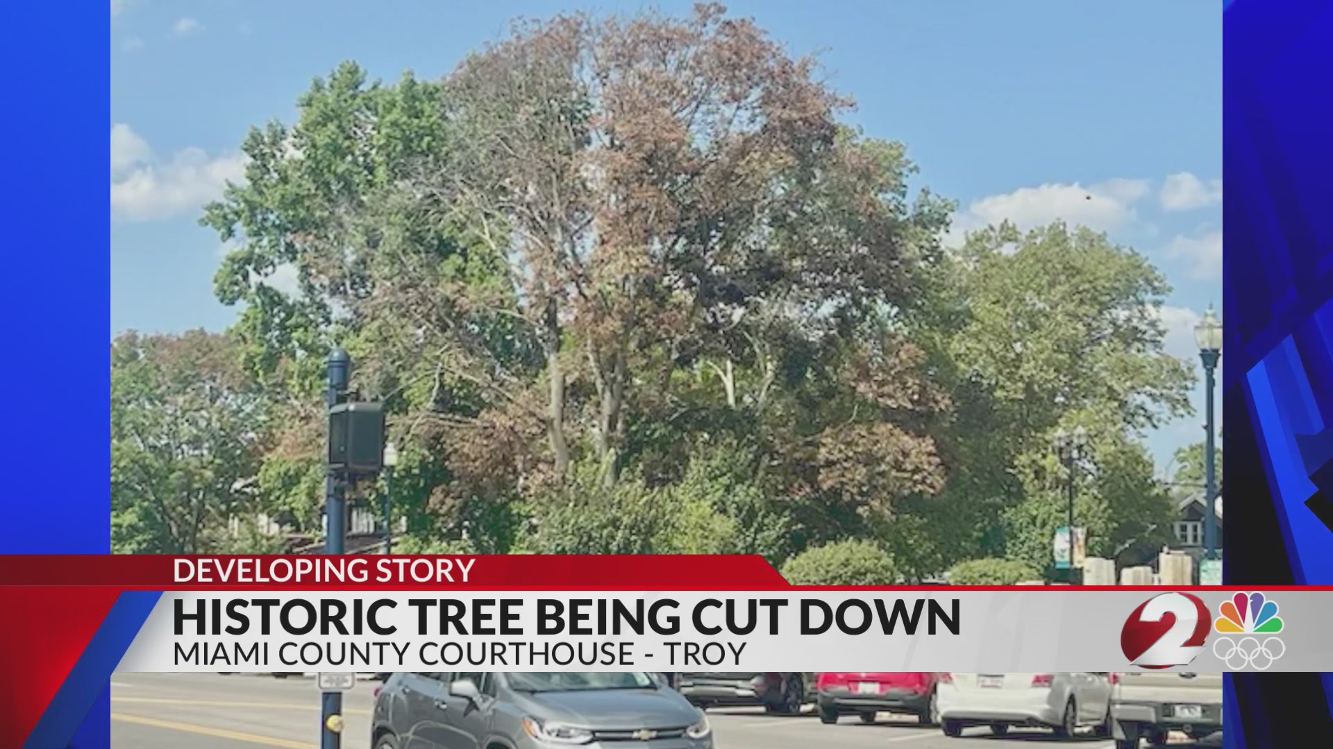 Historic tree being cut down at Miami County Courthouse – WDTN.com