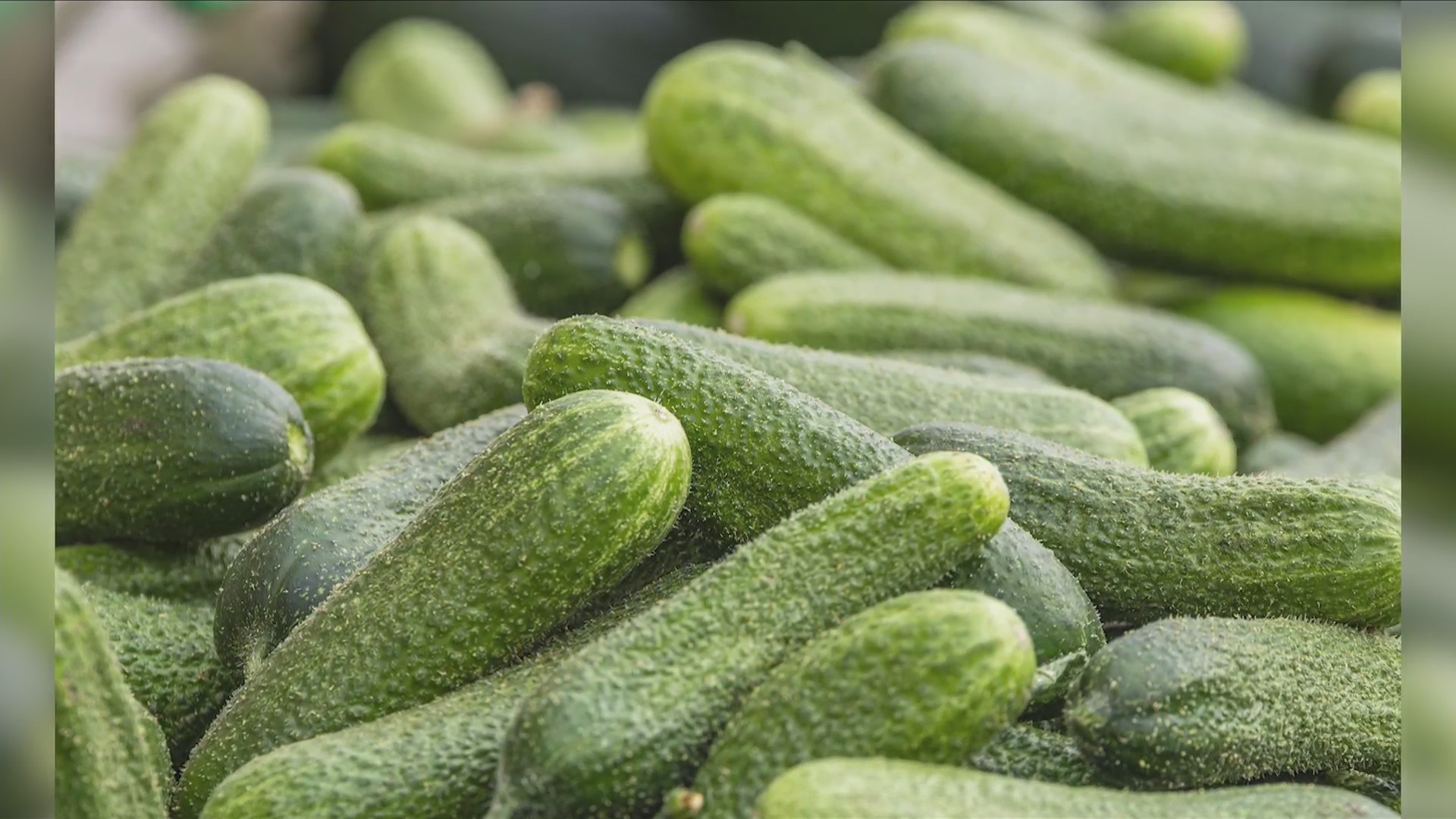 Pickle party taking over this week’s River Park Farmer’s Market – CBS47 ...