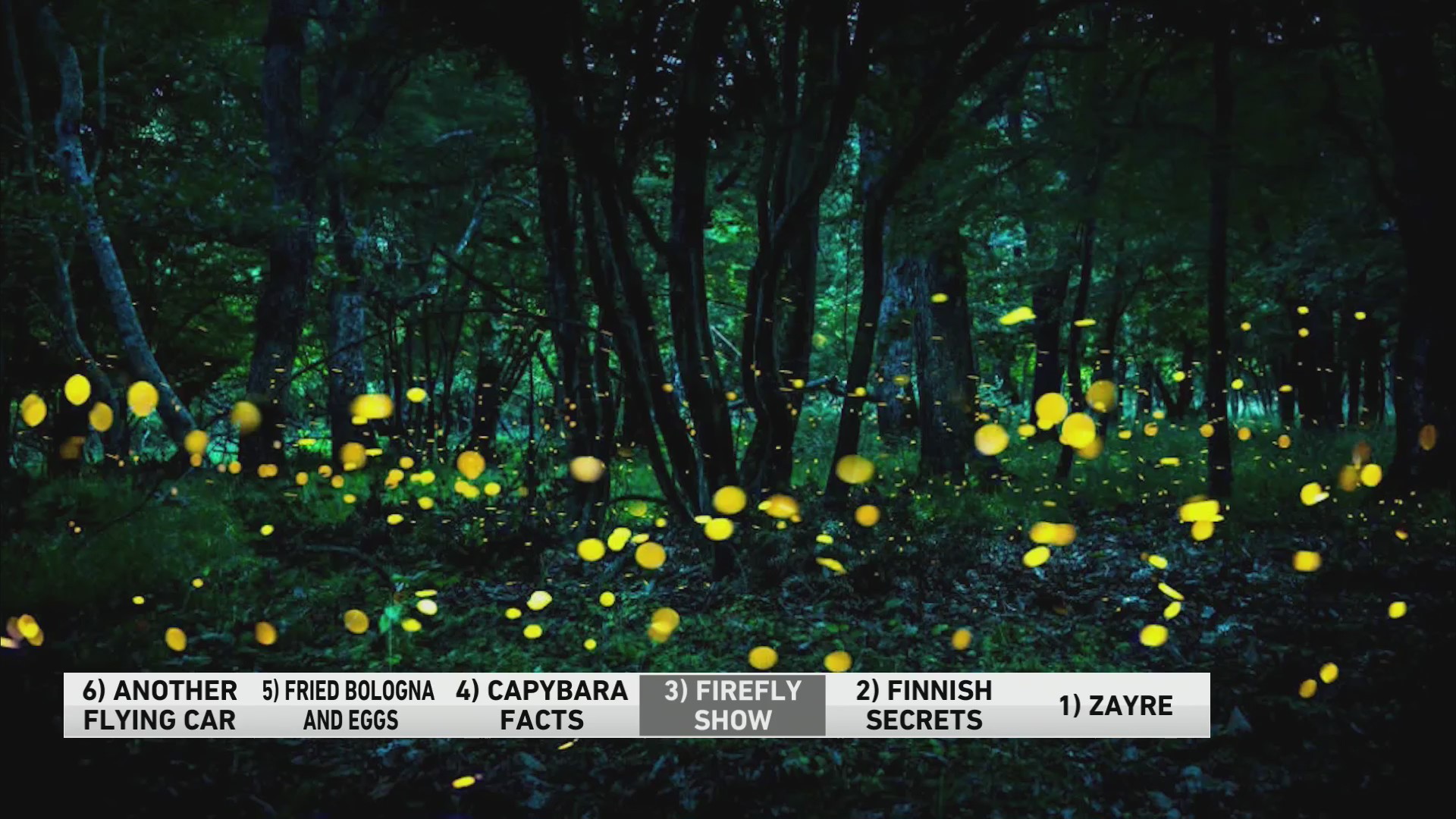 The sexy purpose of fireflies’ light show – WGN-TV