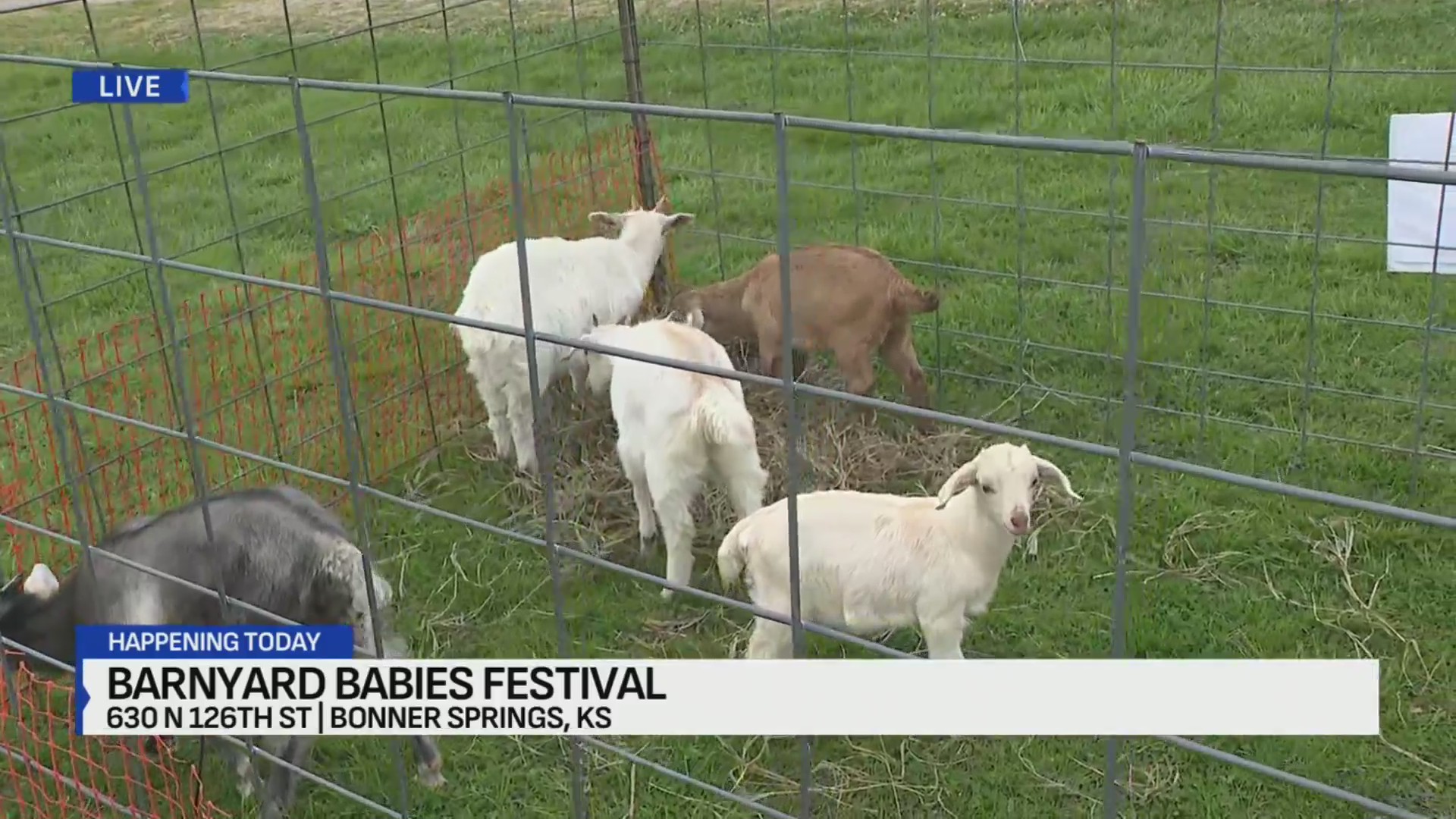 Barnyard Babies Family Festival returns to Bonner Springs – FOX 4 ...