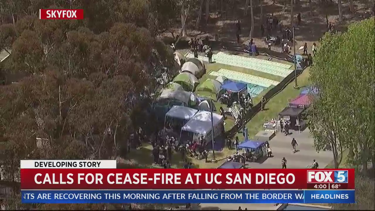 Pro-Palestine demonstrations ramp up on San Diego college campuses ...