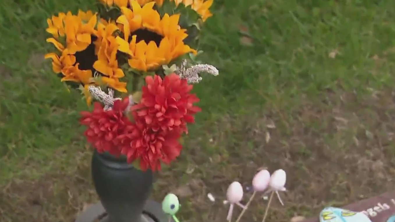 Remembering Laci Peterson: Fresh flowers, painted rocks left at grave ...