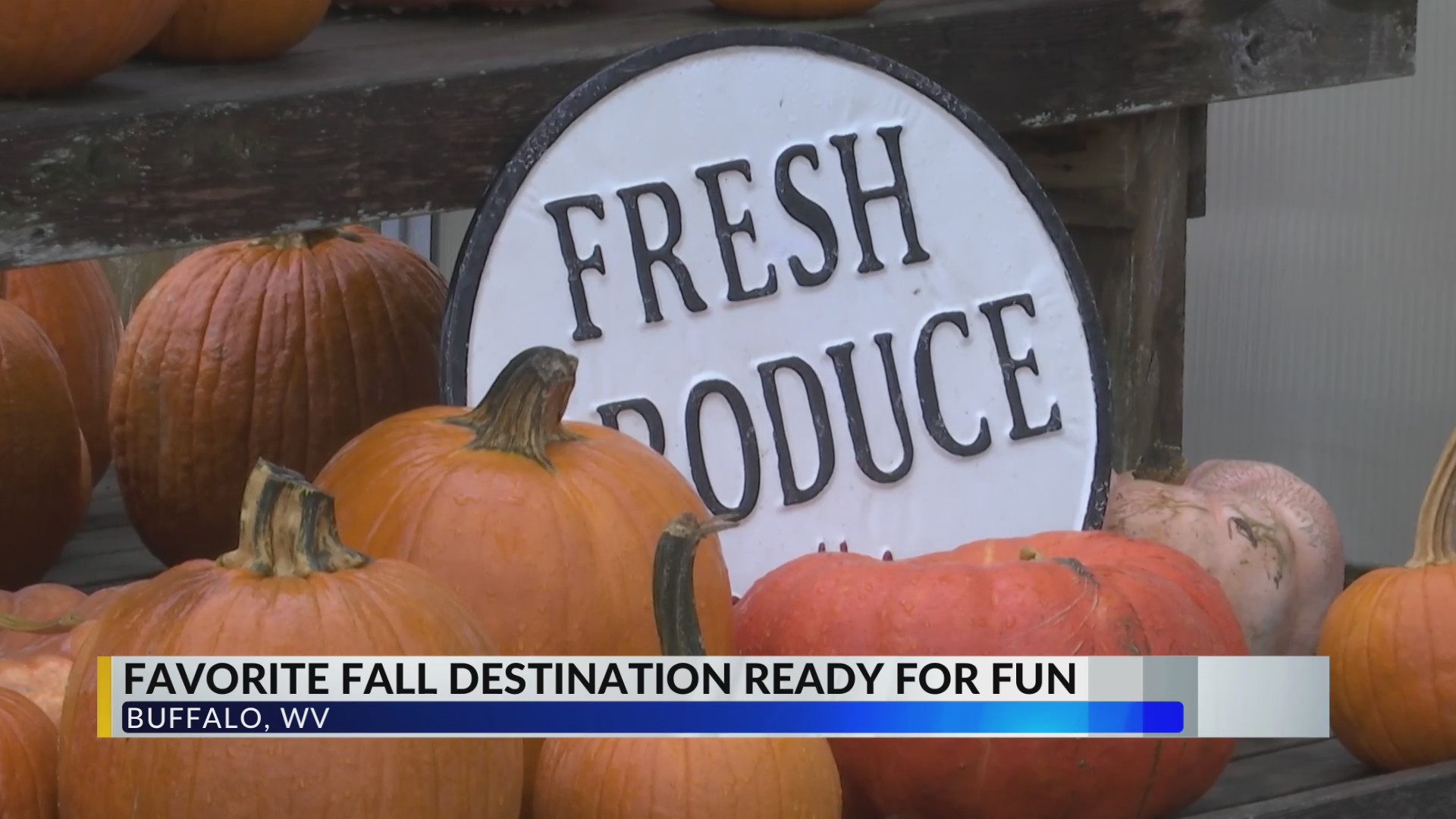 Gritts Farm opens for fall activities despite ongoing drought across ...