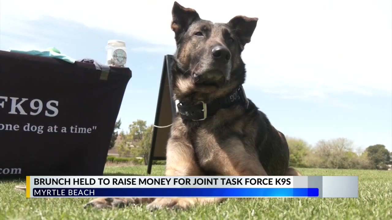 Joint Task Force K9 brunch supports efforts to provide service dogs to ...