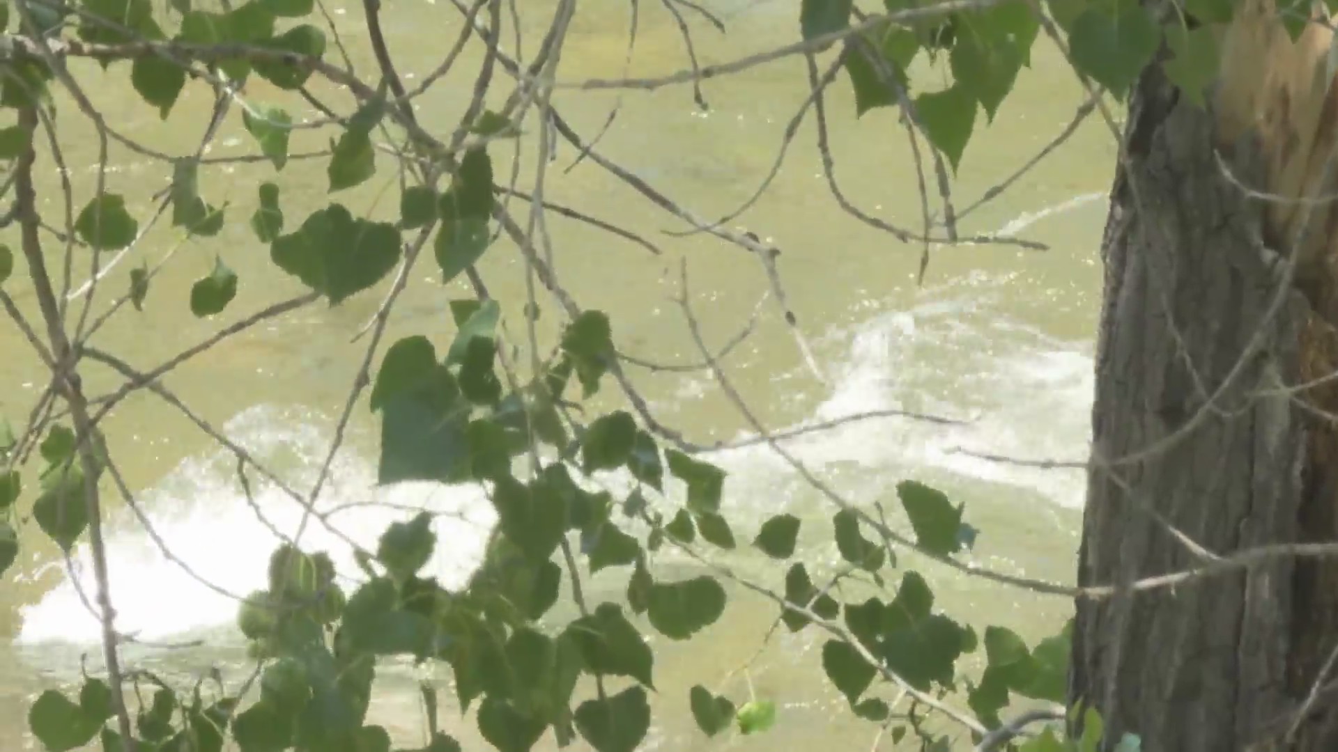 Aurora man drowns in South Platte River – FOX31 Denver