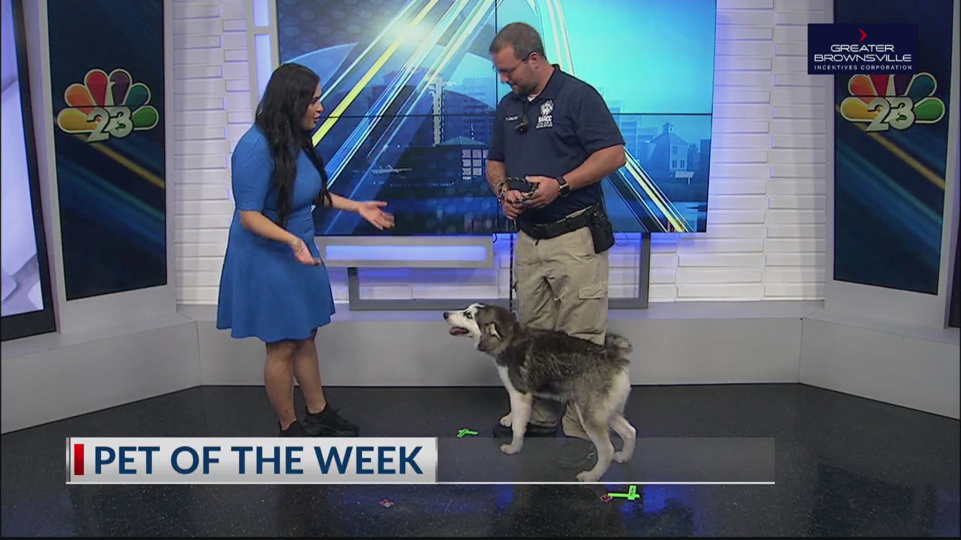 BARCC Pet of the Week: Sky – KVEO-TV