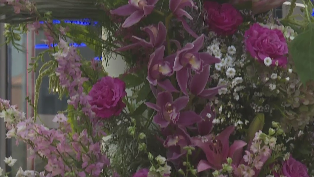 Vibrant florals return with 2nd annual Portland Bloom Tour – KOIN.com