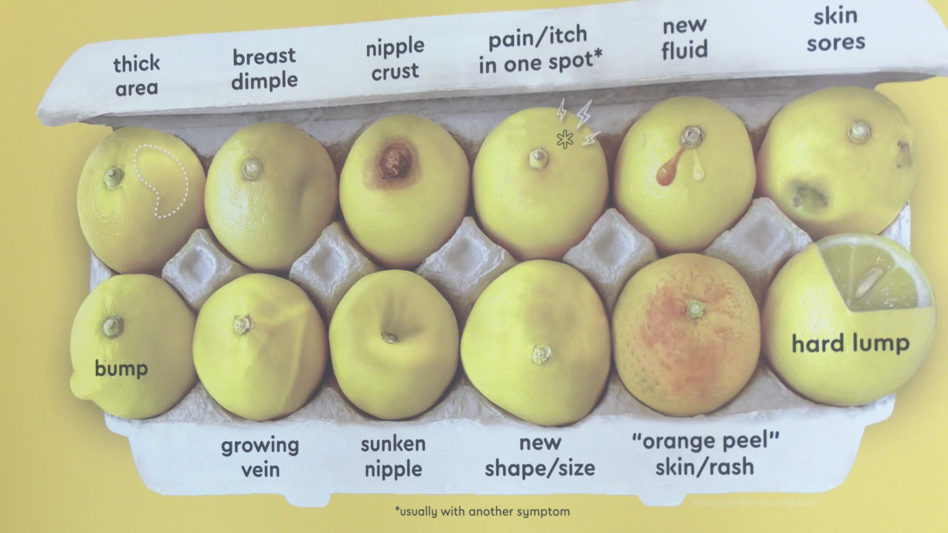 Breast cancer awareness: Rochelle Hospital’s ‘Know Your Lemons ...