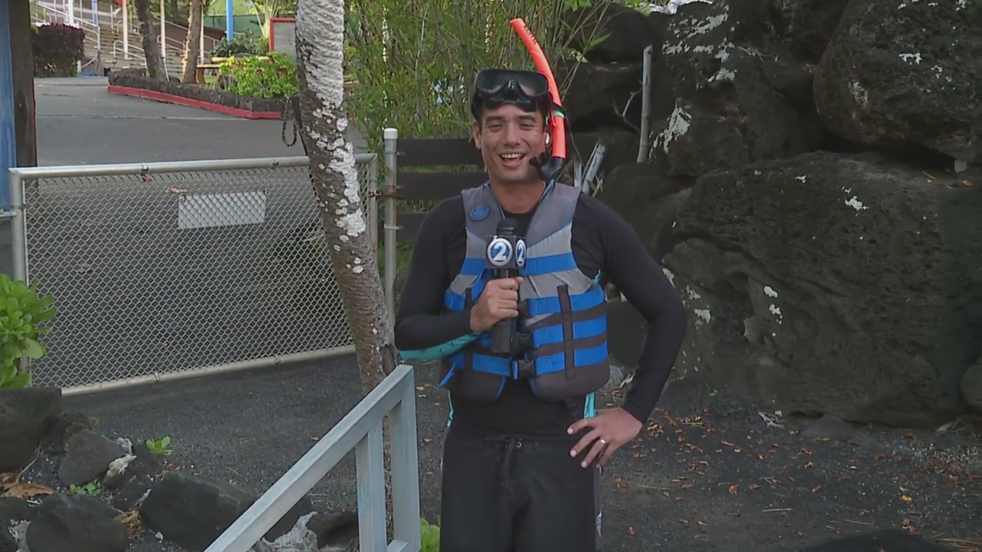 Immersive education with sharks, dolphins, & sealions at Sea Life Park ...