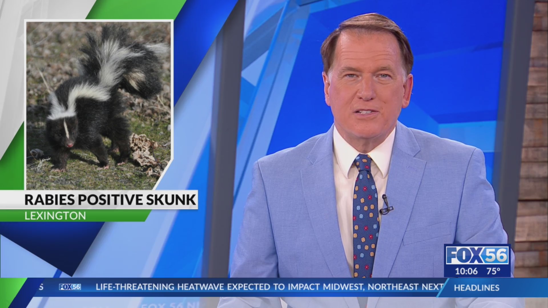 Skunk tests positive for rabies in Lexington – FOX 56 News