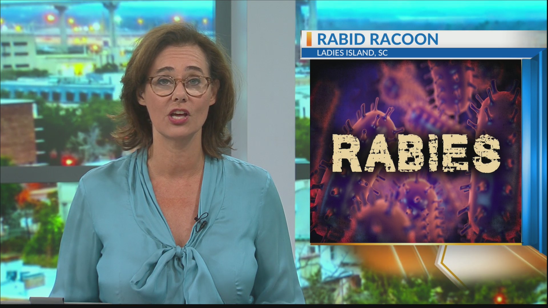 Rabid raccoon confirmed in Beaufort Co.; 2 pets exposed – WSAV-TV