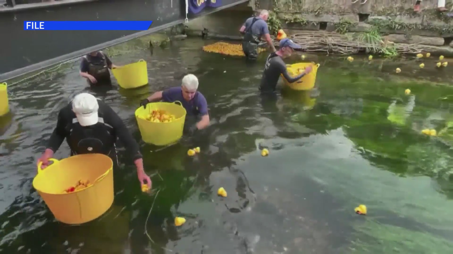 Epworth’s Duck Derby Races Return to Support Youth Empowerment – FOX 2