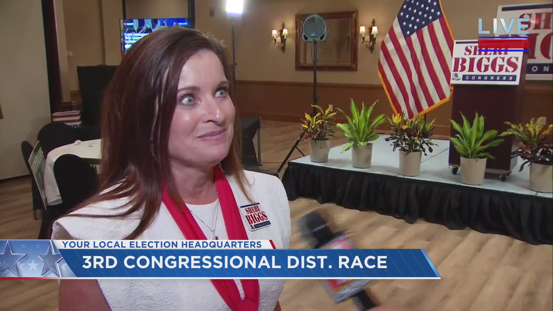 Republican Sheri Biggs, Mark Burns advance to primary runoff election ...