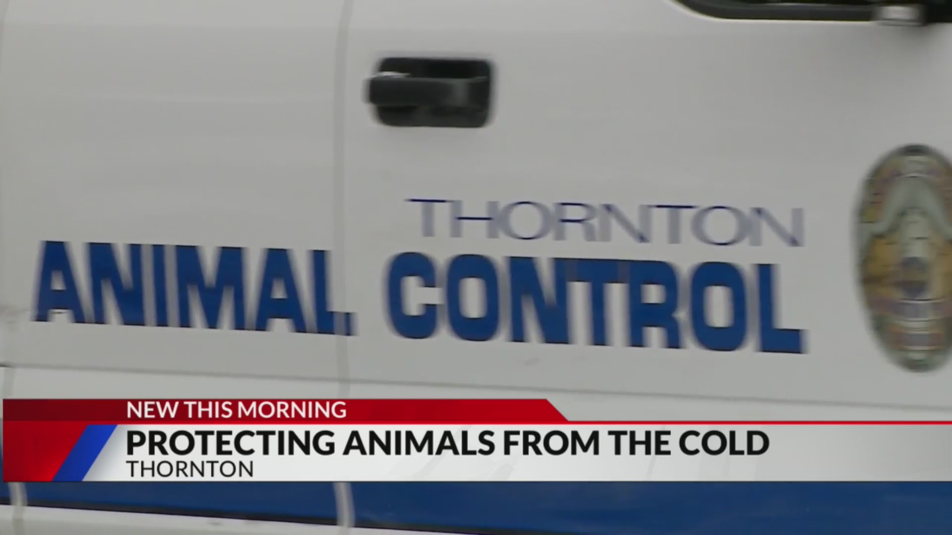 Thornton police see animal neglect calls spike during cold – FOX31 Denver