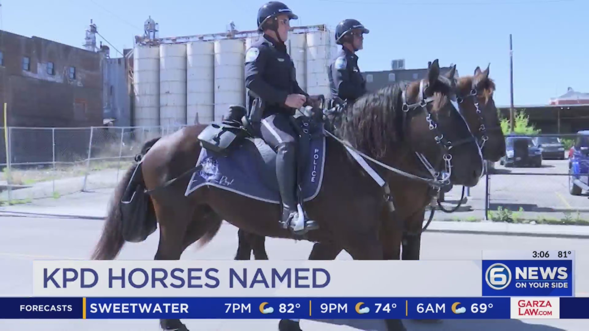 Names announced for Knoxville PD’s mounted patrol horses after 4,500 ...