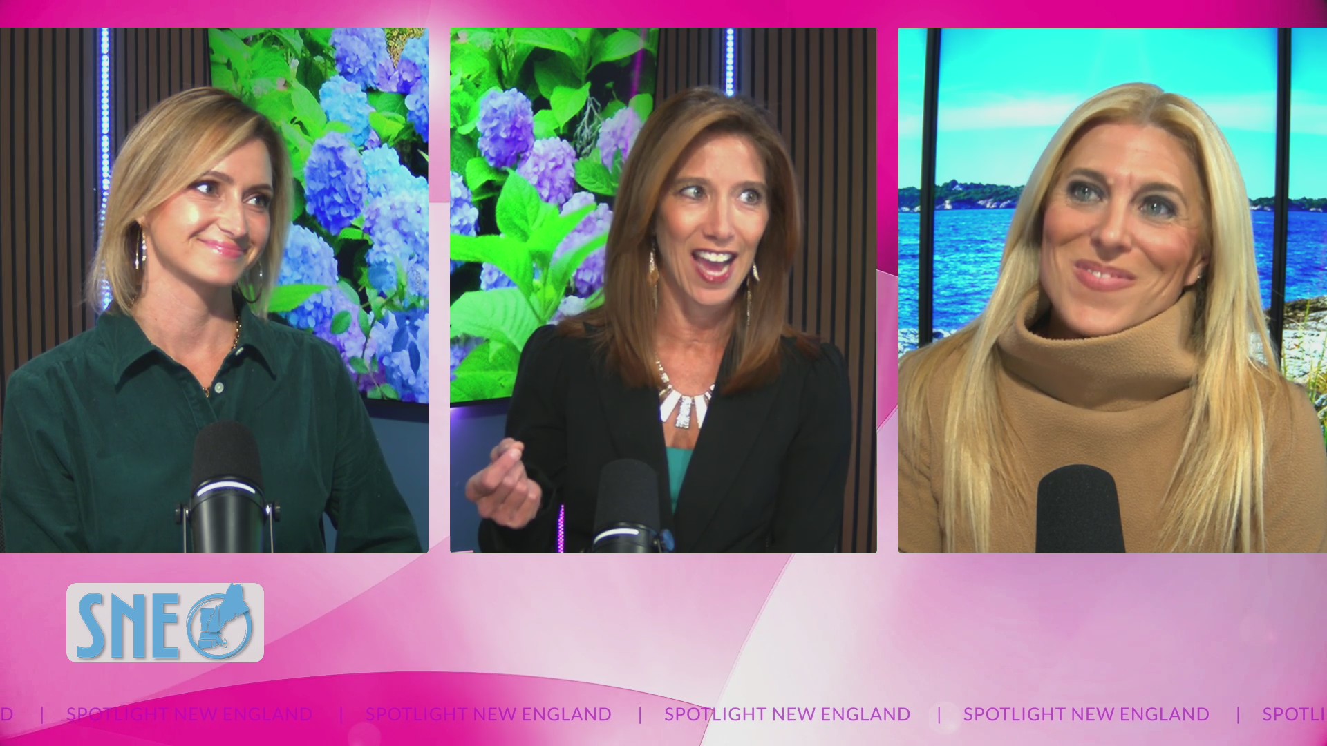 Spotlight New England: WPRI 12 News Reporter Erica Ricci – WPRI.com