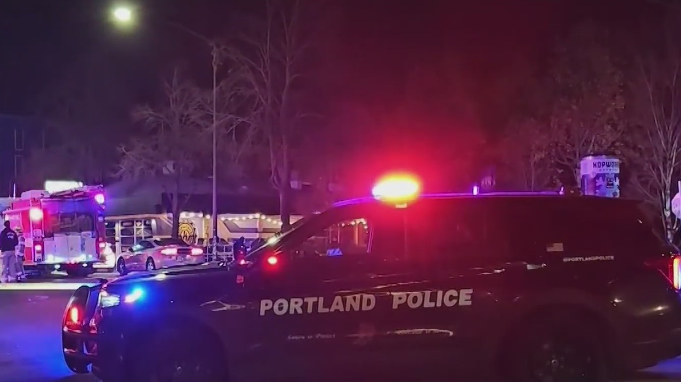 Auditor finds PBOT’s Vision Zero falls short on pedestrian safety ...