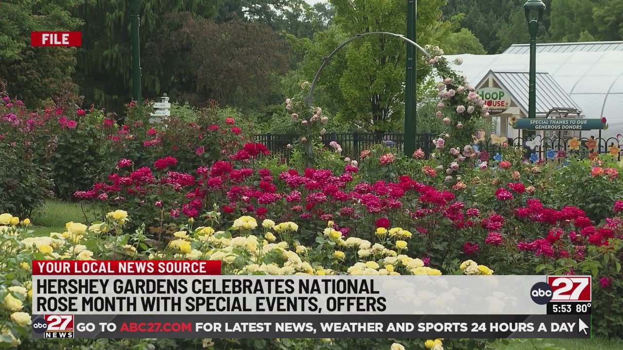 One name gets free admission to Hershey Gardens as 3,000 roses bloom ...