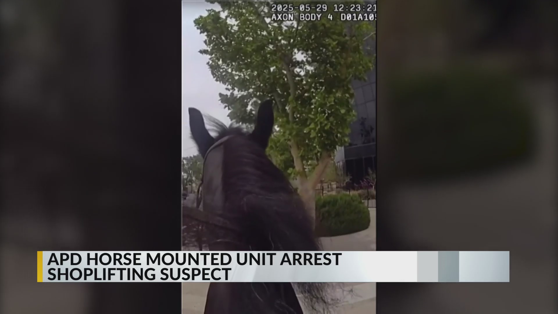 APD’s Horse Mounted Unit arrests shoplifting suspect – KRQE NEWS 13 ...