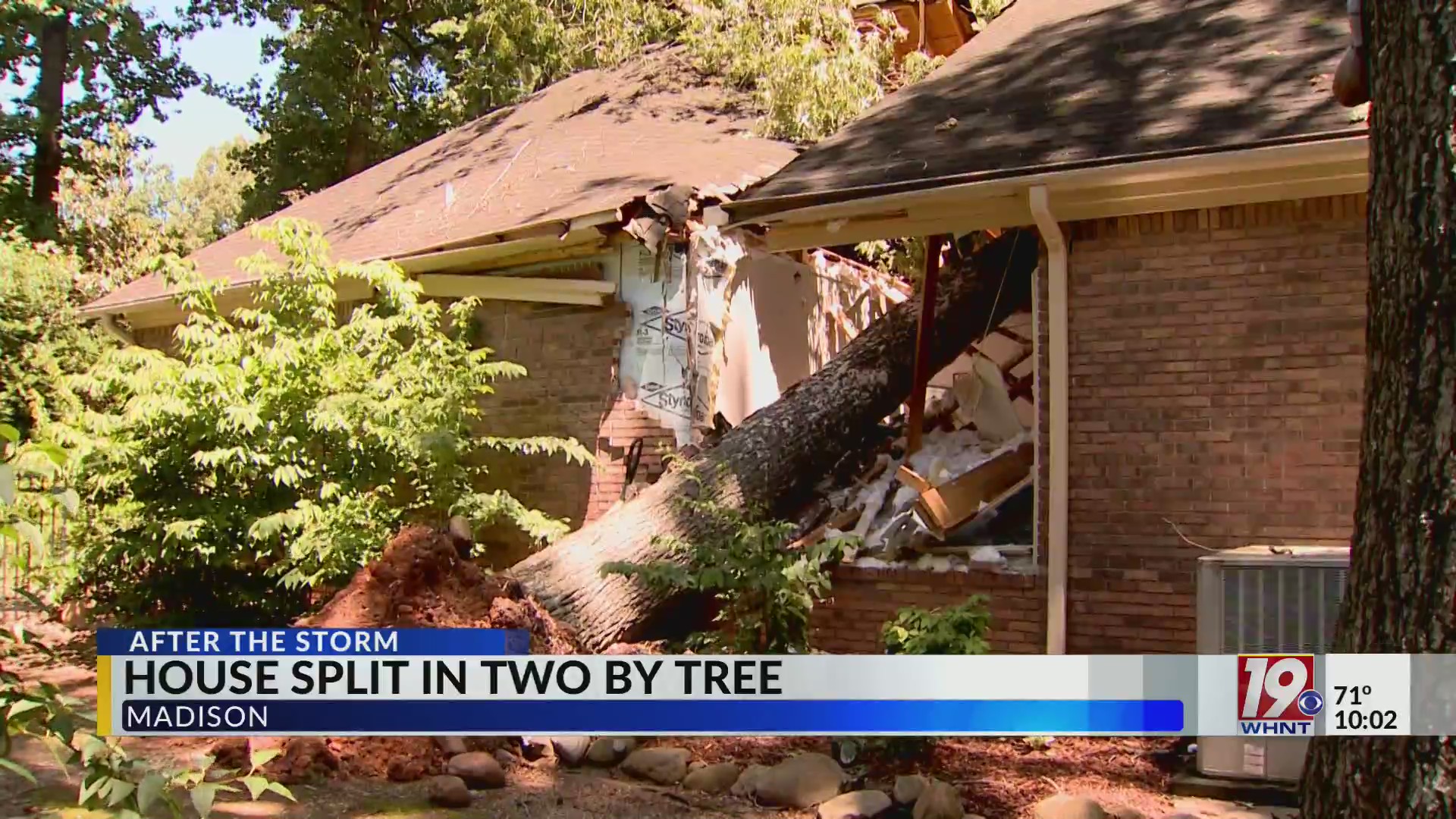 House Split in Two by Tree | May 21, 2025 | News 19 at 10 p.m. – WHNT.com