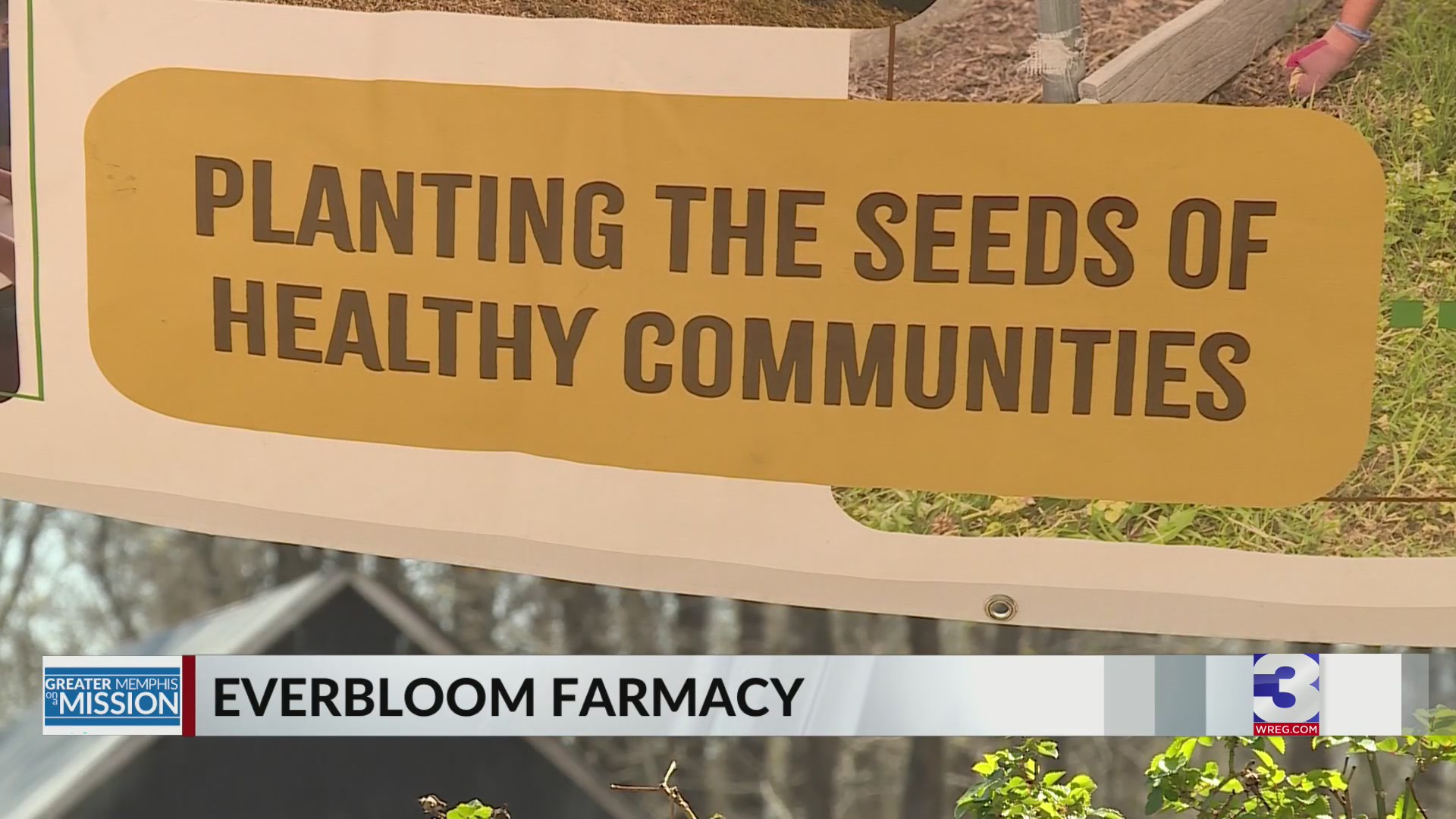 Everbloom Farmacy – Greater Memphis on a Mission – WREG.com