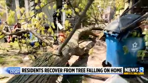 Tree falling on house sounded like ‘semi-truck going through’ – WOODTV.com