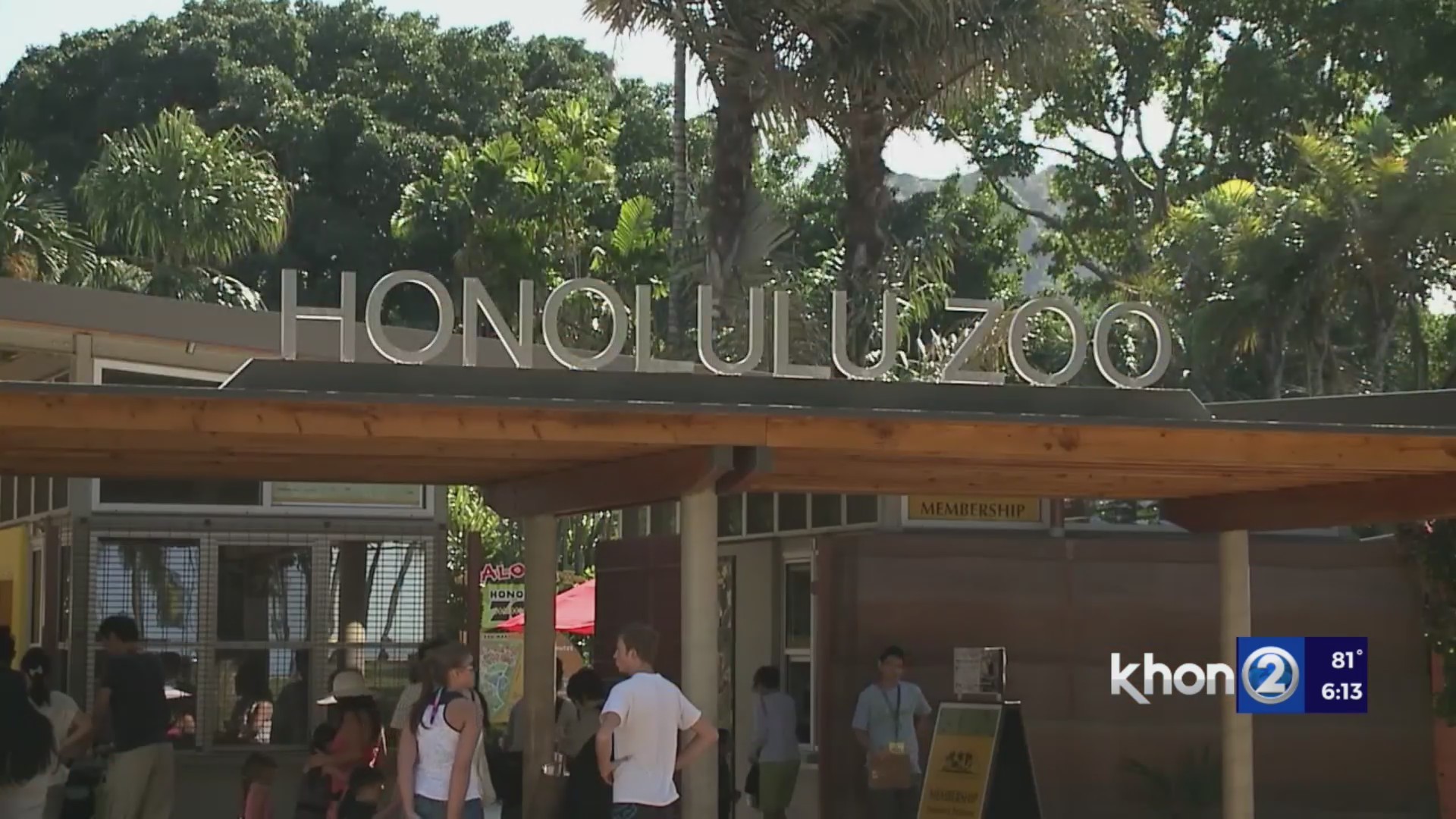 This new animal could be coming to Honolulu Zoo – KHON2