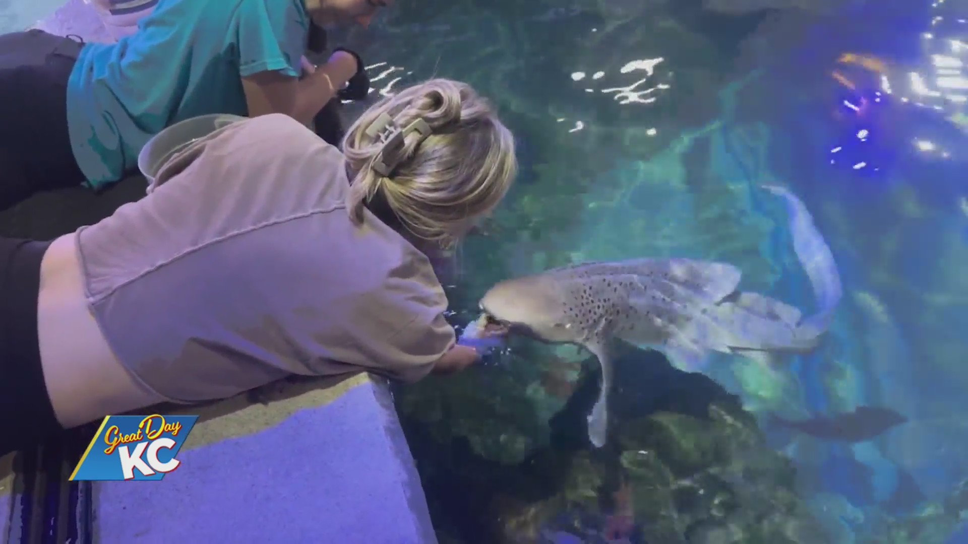 Carrie Faces Her Fears Of Sharks During Shark Week! – FOX 4 Kansas City ...