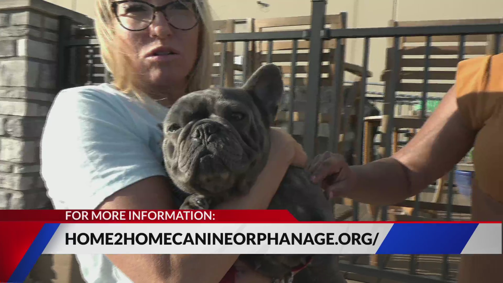 Tail Waggin’ Tuesday: Pecan the Dog – FOX 2