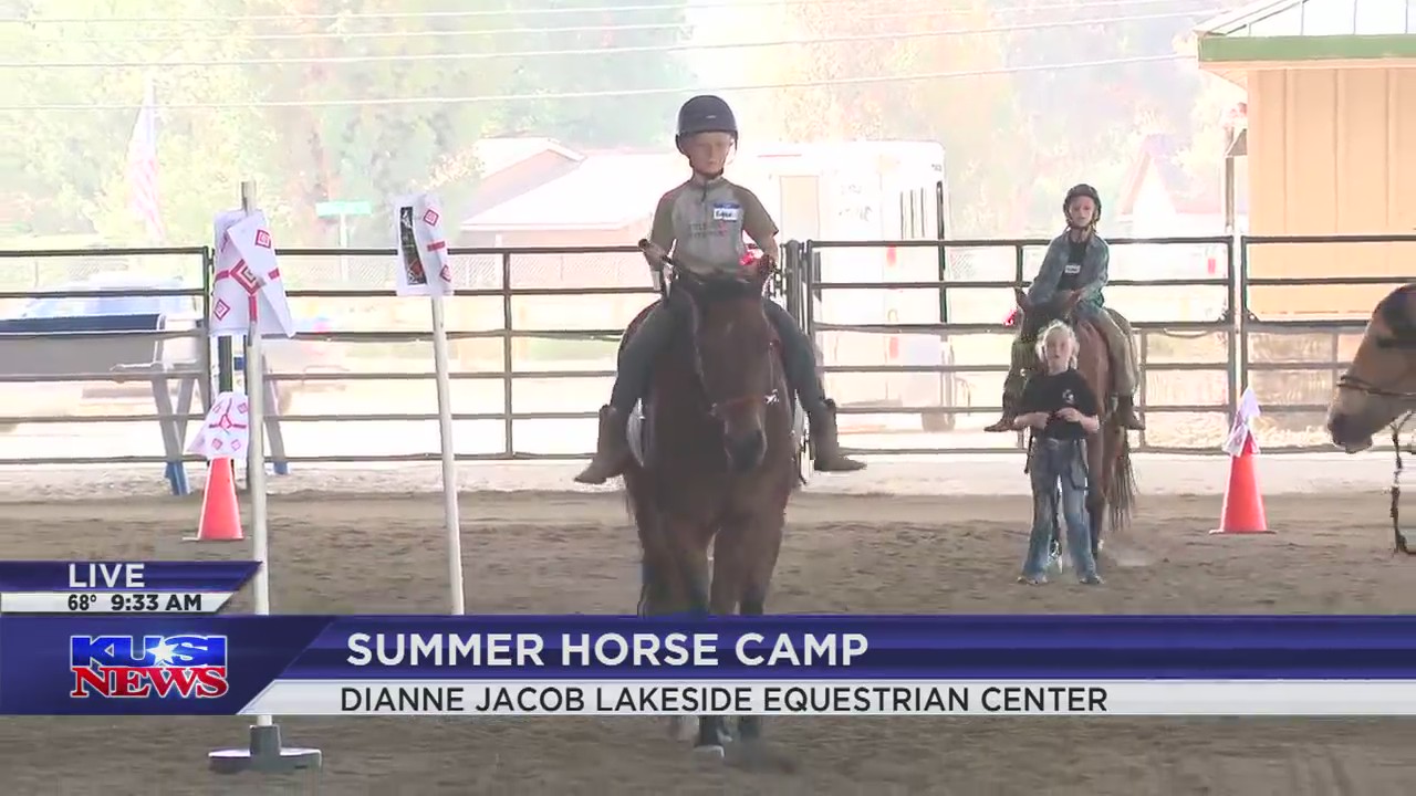 Summer Horse Camp taking place at Dianne Jacob Equestrian Center – FOX ...