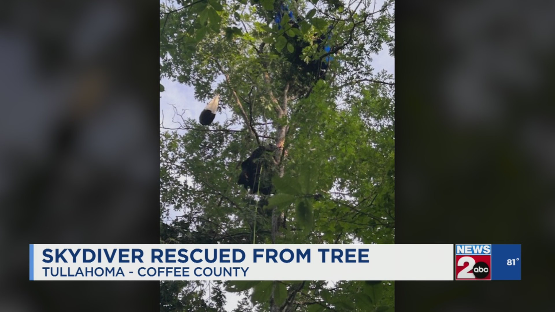 Skydiver gets stuck in tree in Tullahoma, sparking rescue effort – WKRN ...