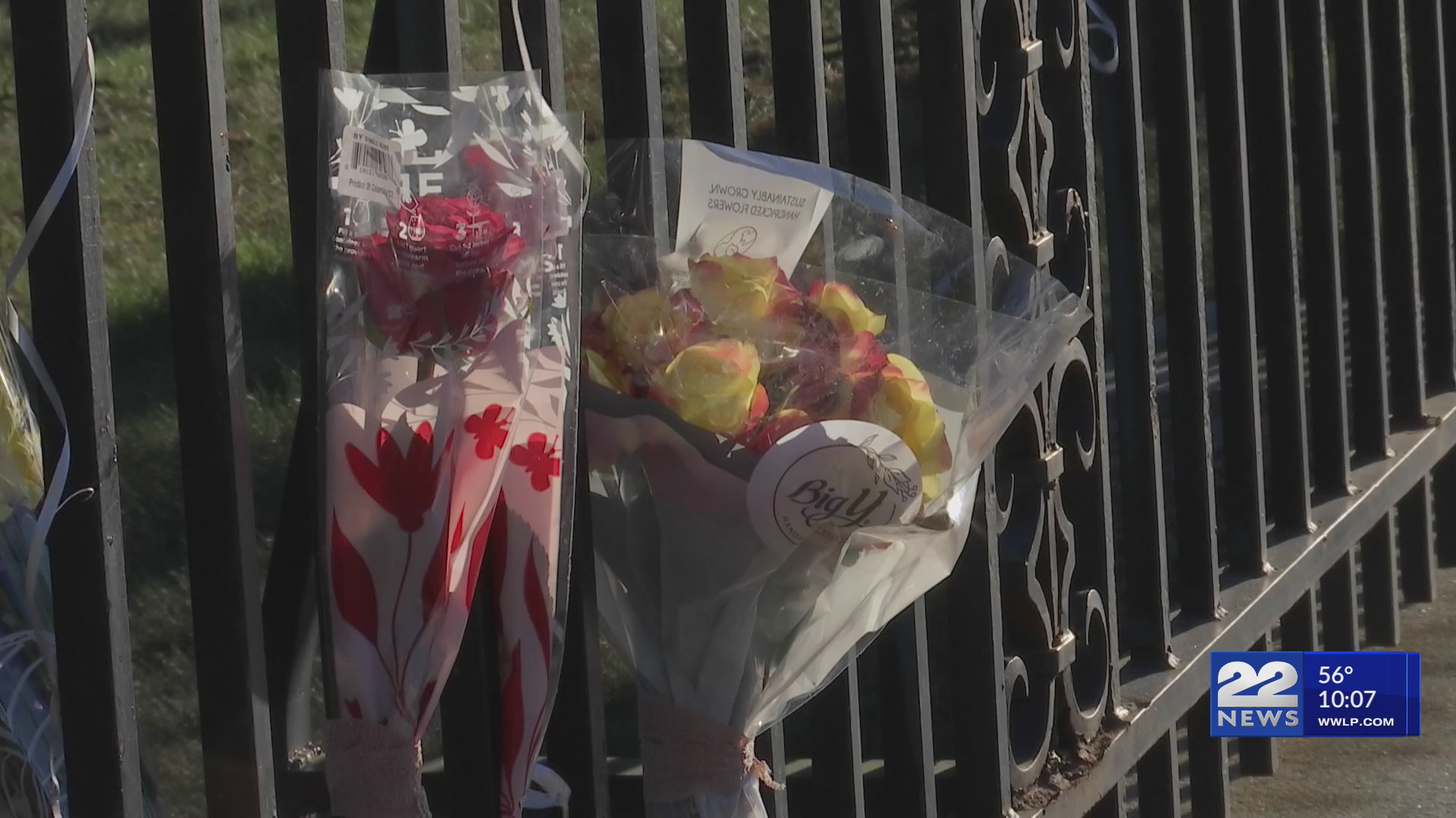 Springfield family mourns loss of mother in fatal hit and run, safety ...
