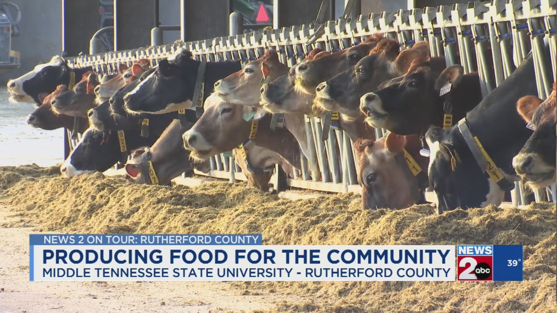 Producing food for the community at MTSU – WKRN News 2