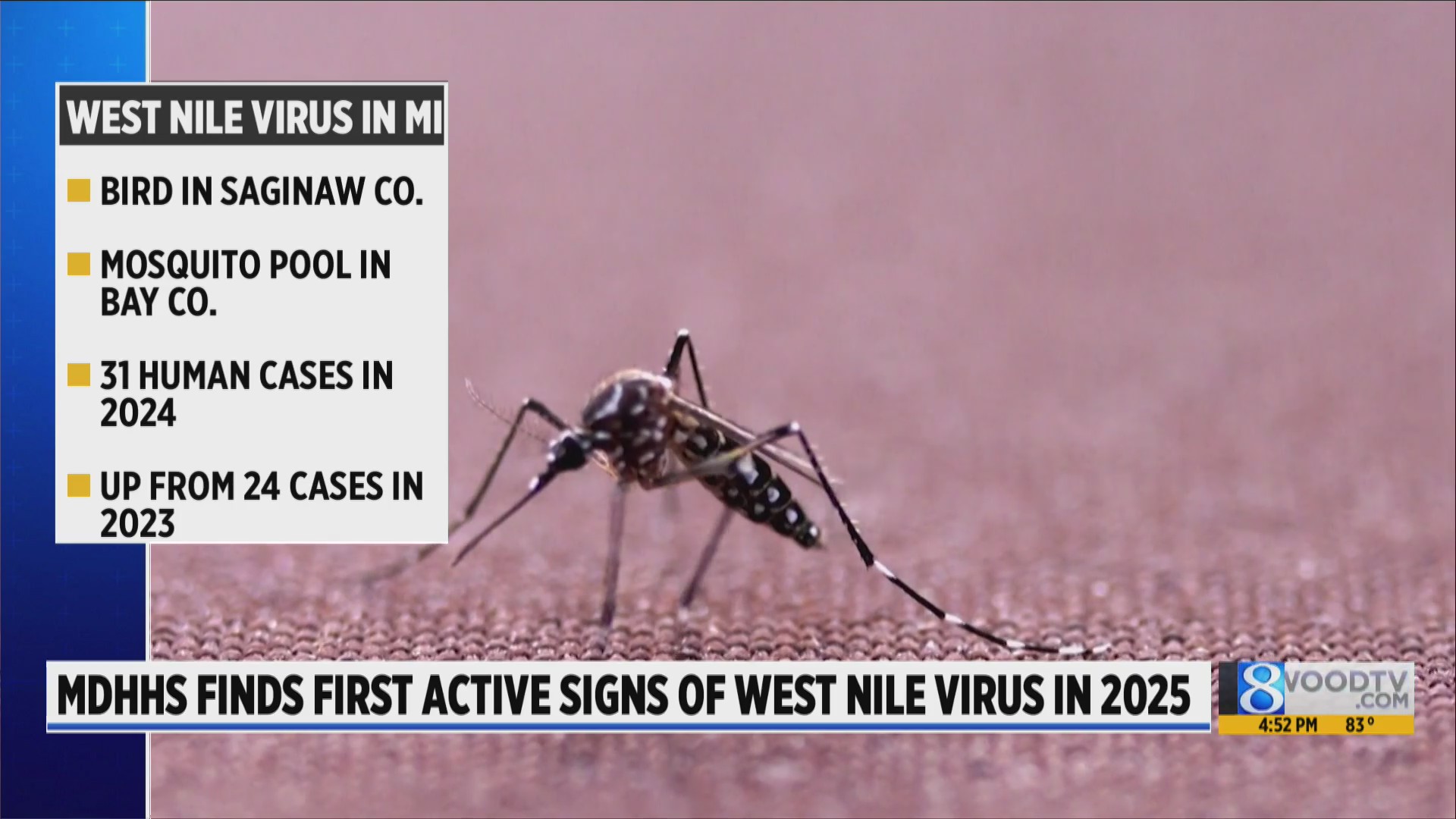 MDHHS finds first active signs of West Nile virus in 2025 – WOODTV.com