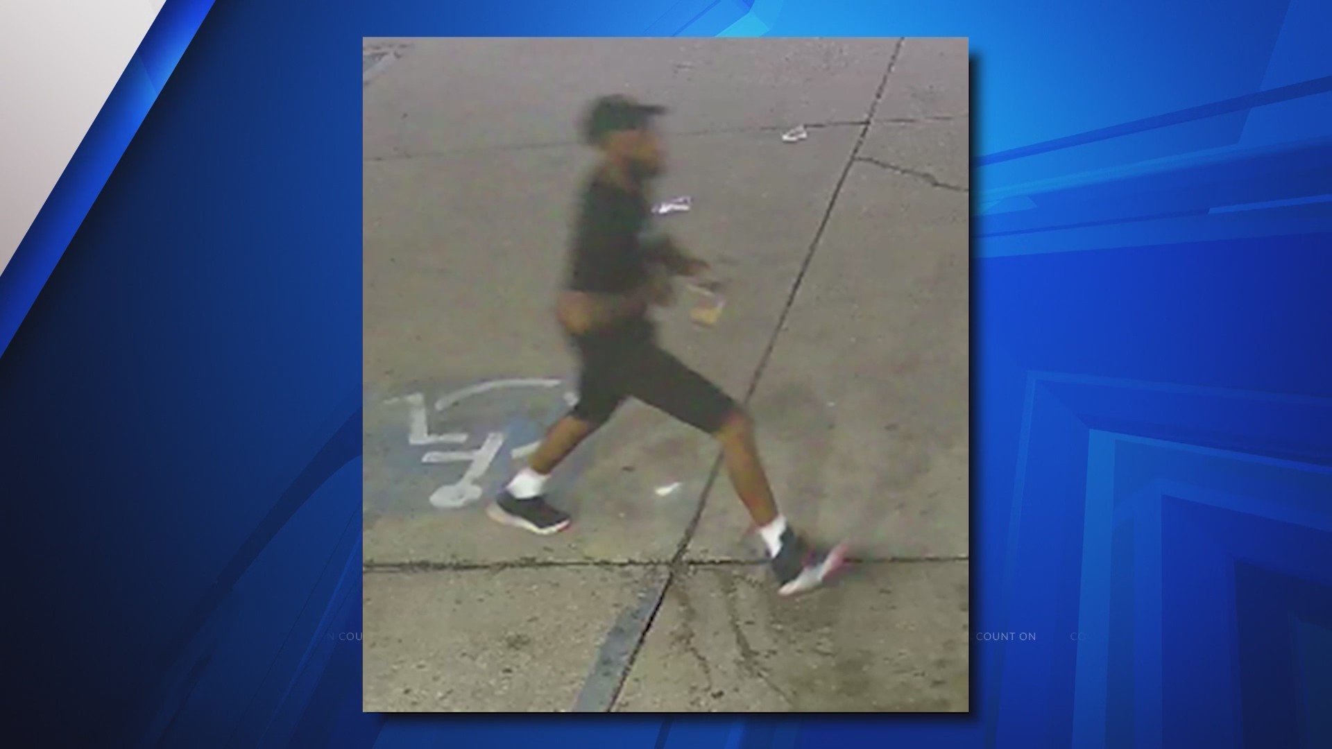 Search intensifies for driver who fled fatal hit-and-run – FOX 2